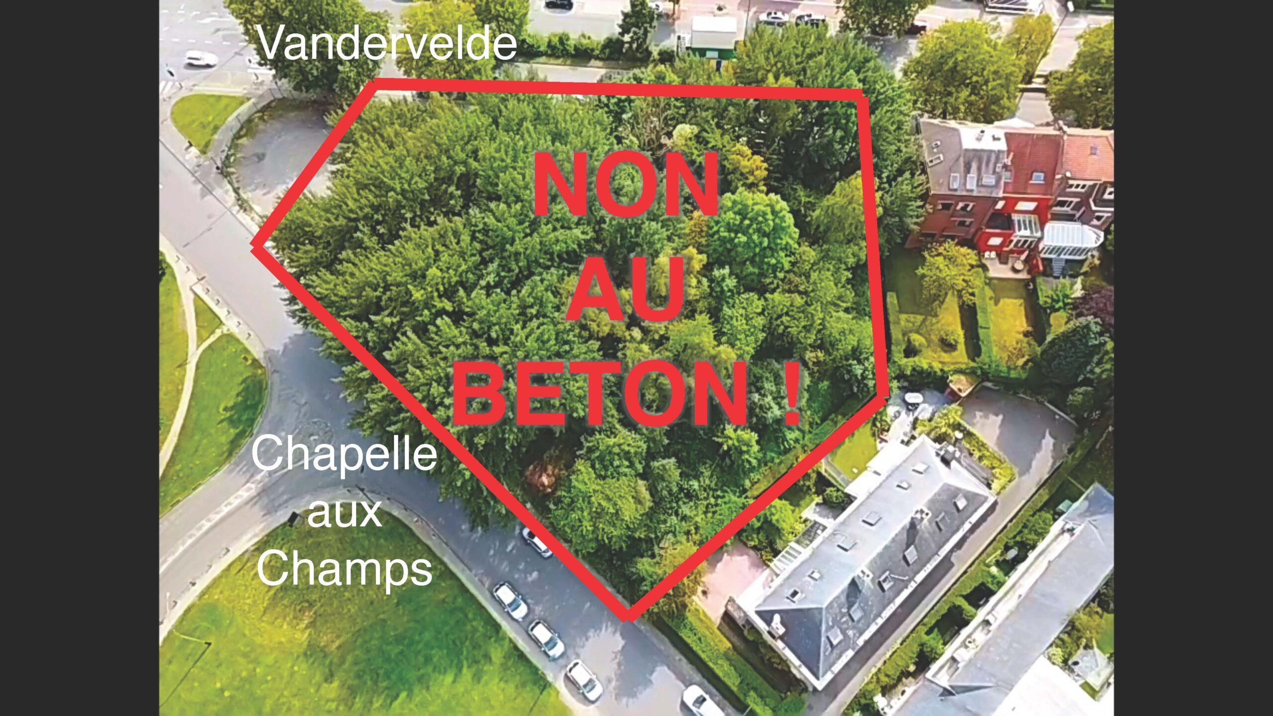 Encore un bois transformé en béton ! - WIQ